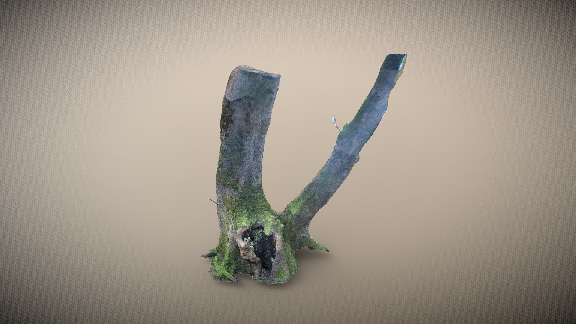 DamageTree - 3D Model - Photogrammetry - 3D model by Luke Shelton ...