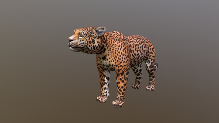 Zoo 3D models - Sketchfab
