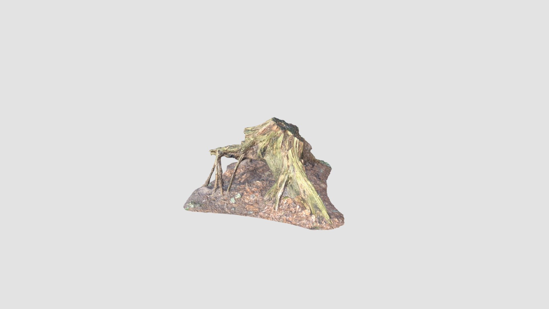 forest element - Buy Royalty Free 3D model by Evermotion [194995a ...