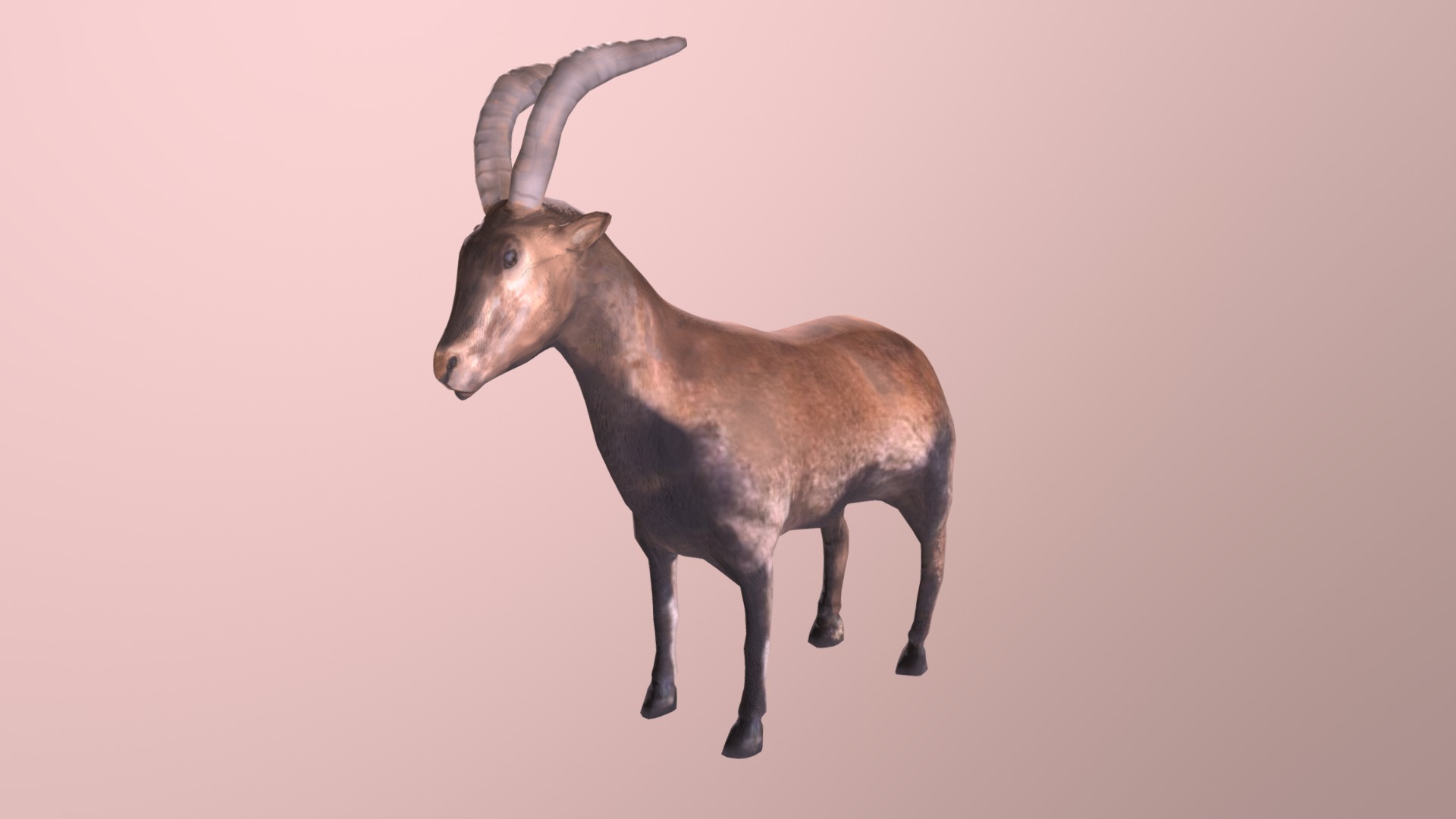 Goat - Buy Royalty Free 3D model by 3dlowpoly [194b8d2] - Sketchfab Store