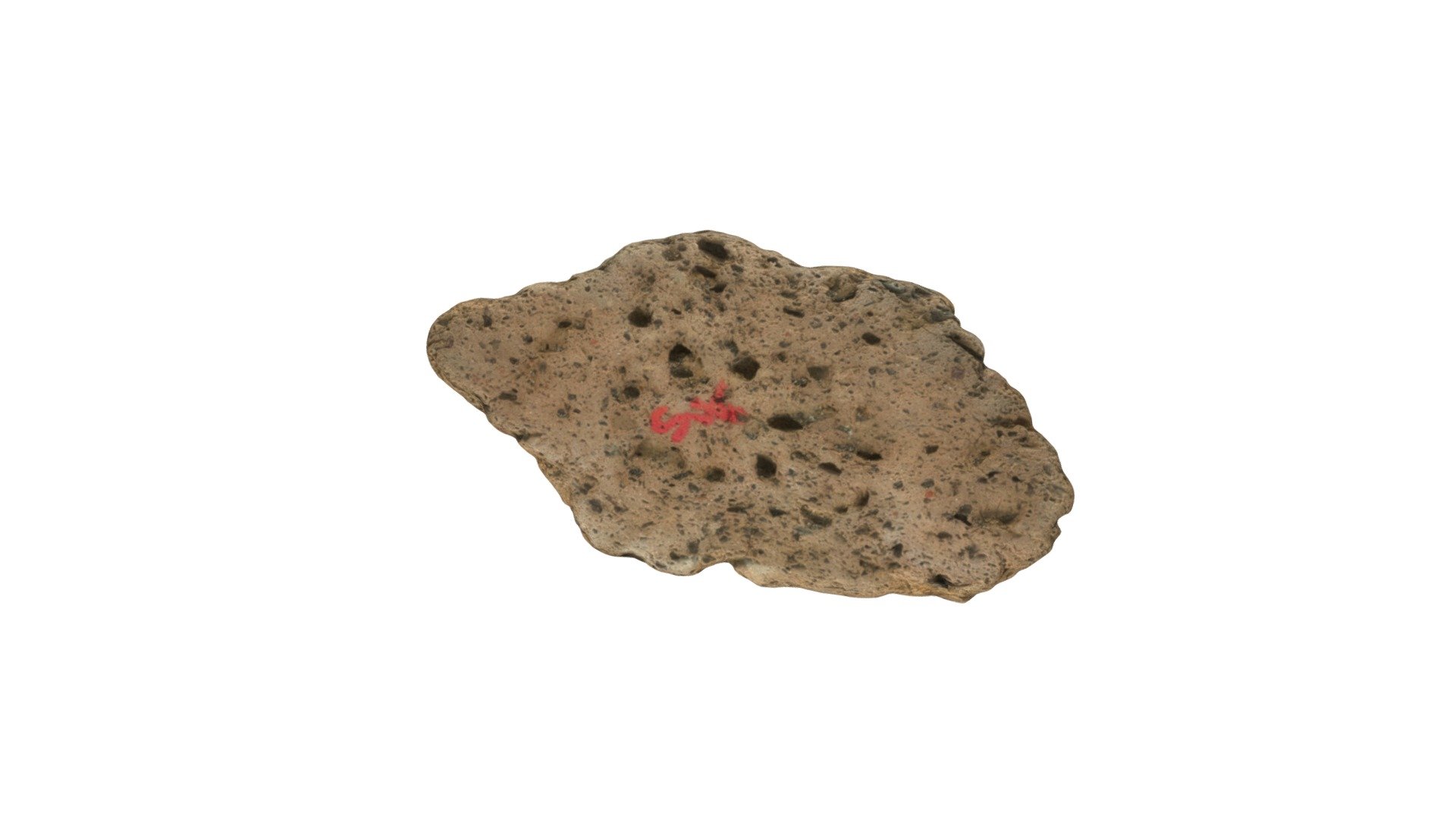 Leached Shell-Tempered Ware - Download Free 3D model by ...
