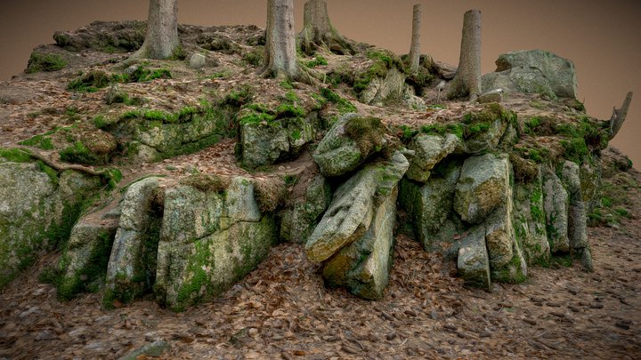Roots 3D models - Sketchfab