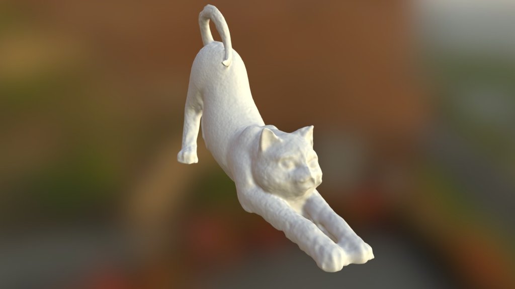 Cat 3D Scan - Download Free 3D model by blu3lit3 [1960b49] - Sketchfab
