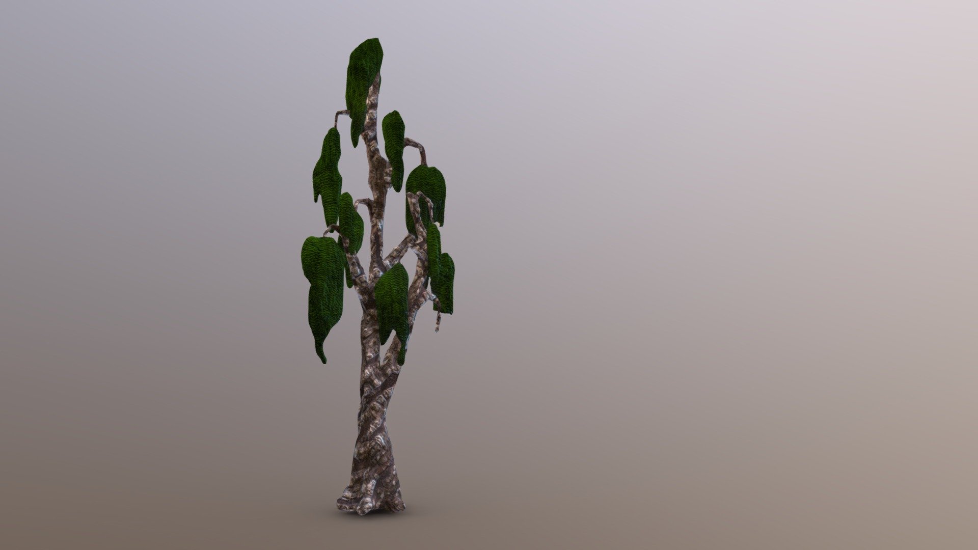 Swamp Tree - Download Free 3D model by FantasyDragon [1961306] - Sketchfab