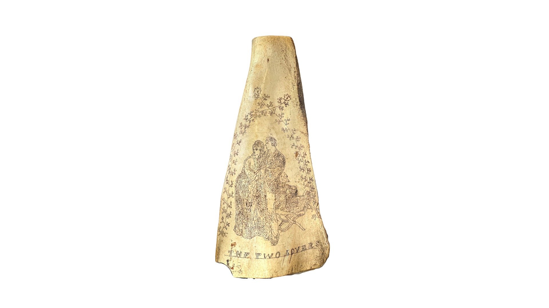 Engraving - 3D model by Queen Victoria Museum and Art Gallery (QVMAG ...