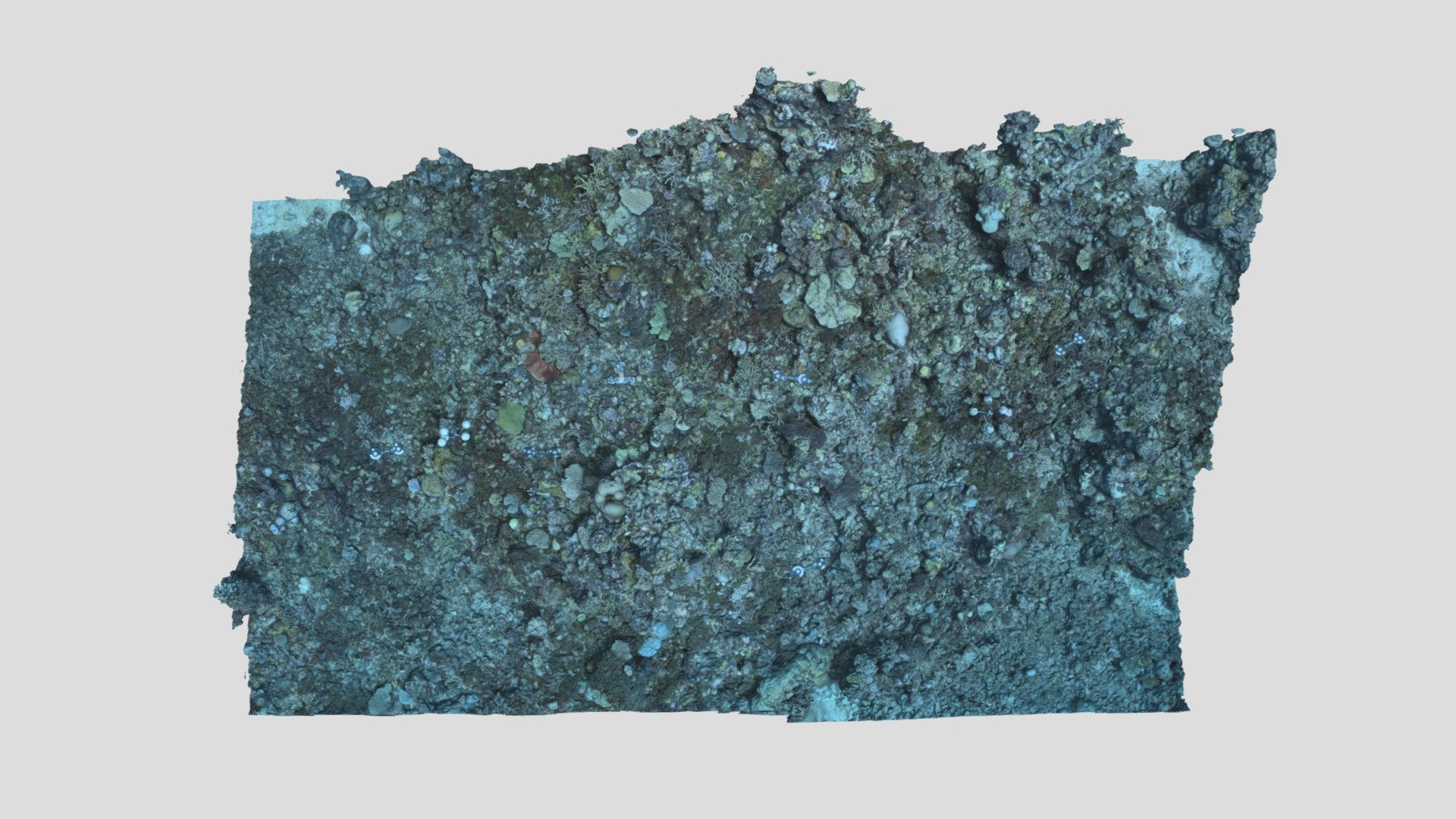Davies_FR1D_P4_202301 - 3D model by EcoRRAP (@AIMSEcoRRAP) [19695f2 ...