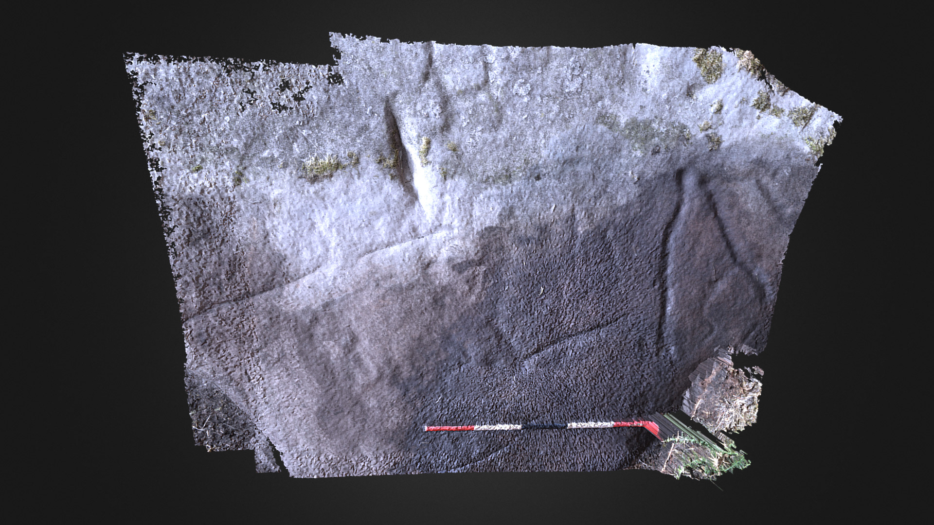 Carr Hill 10 - 'Cocidius' with scale 04-08-2018 - 3D model by NOWTAG ...
