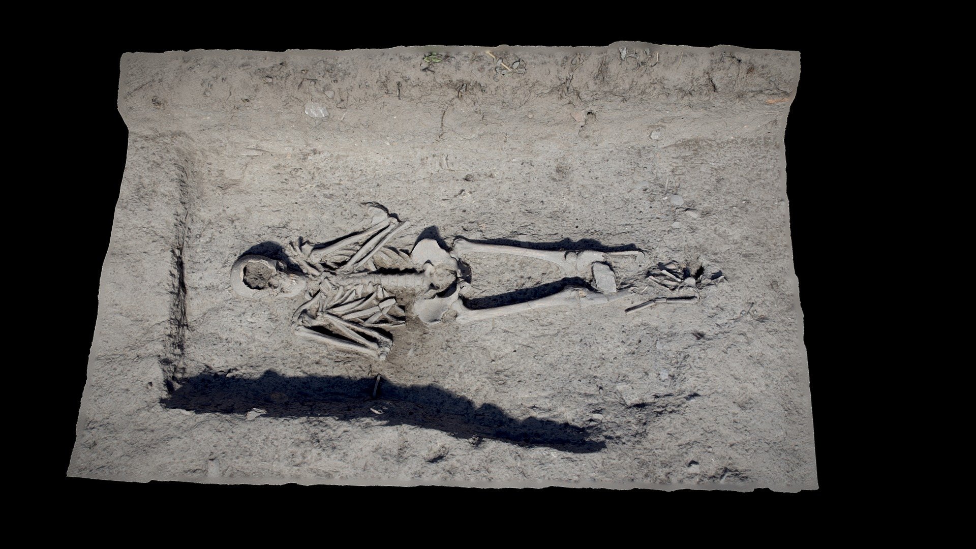 Schelet-3 - 3D model by Institutul Național al Patrimoniului (@cimec ...