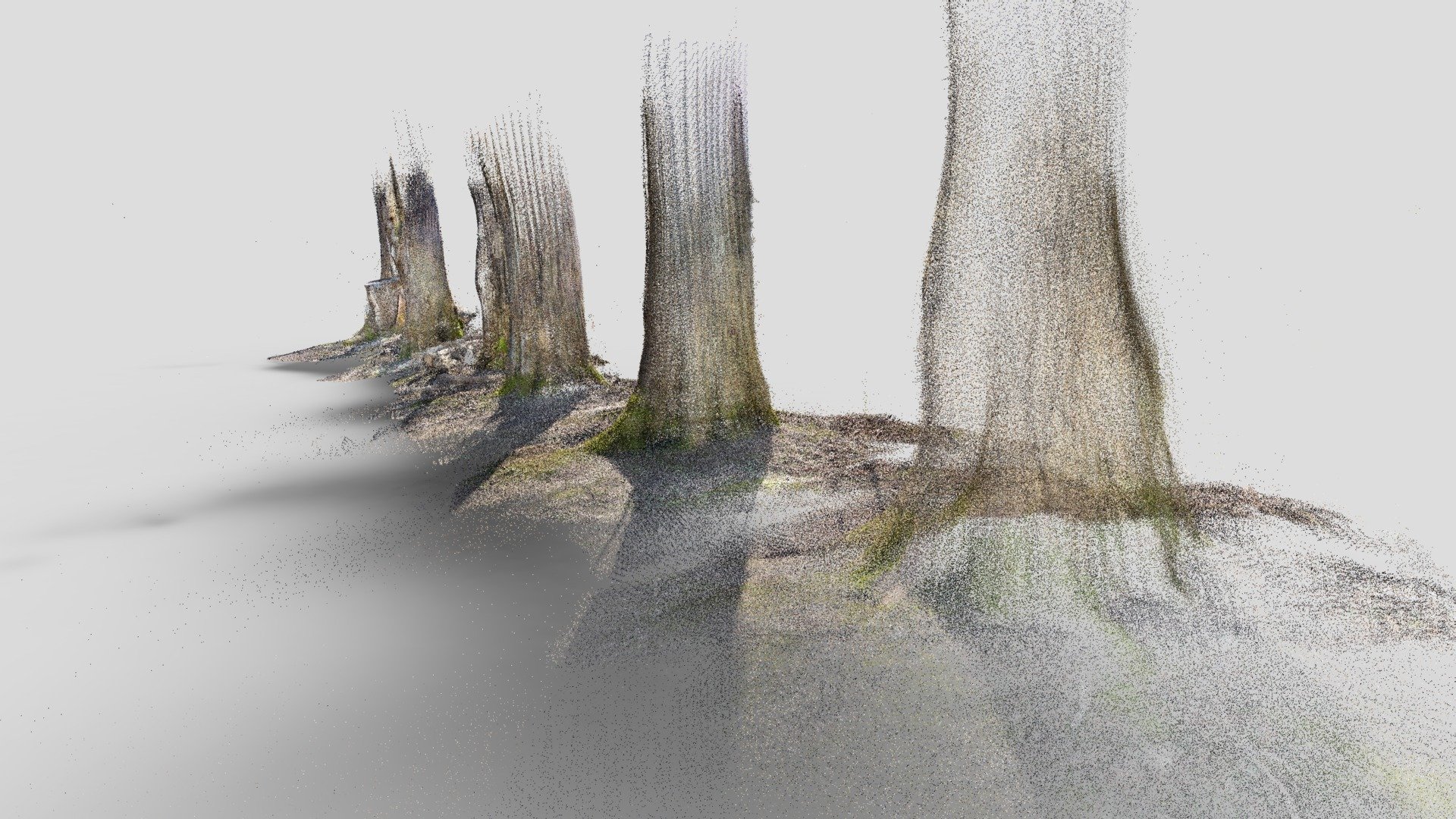 A line of trees - Download Free 3D model by Christian Carlsson ...