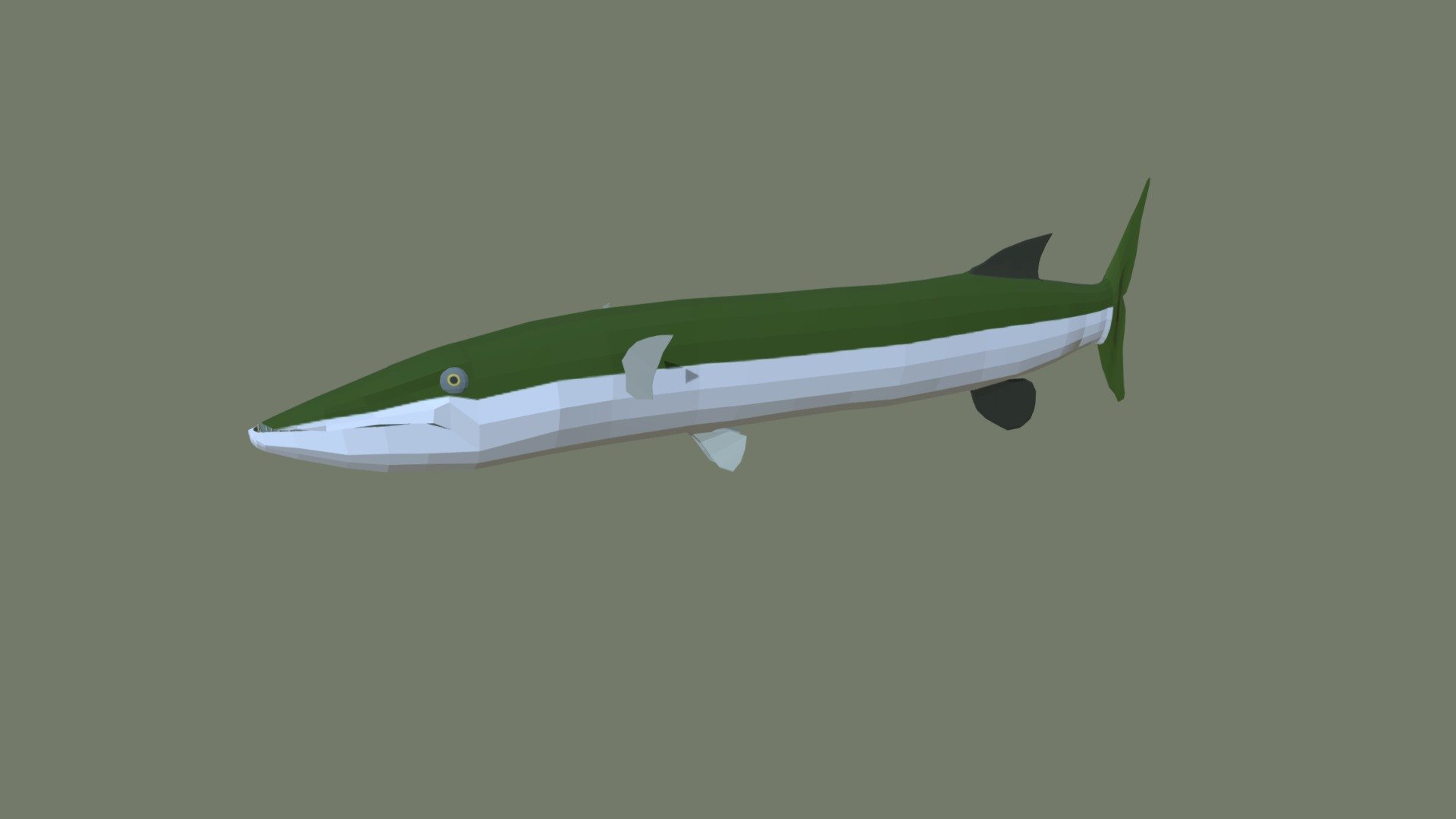 Barracuda - 3D model by josluat91 [19819c0] - Sketchfab