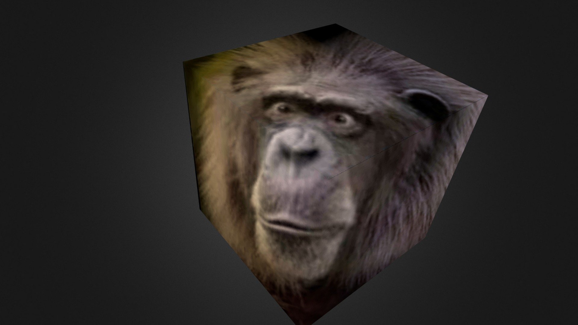 Joke- monkey face - 3D model by 3D arena BIONORMIX® (@3darena) [1987c52 ...