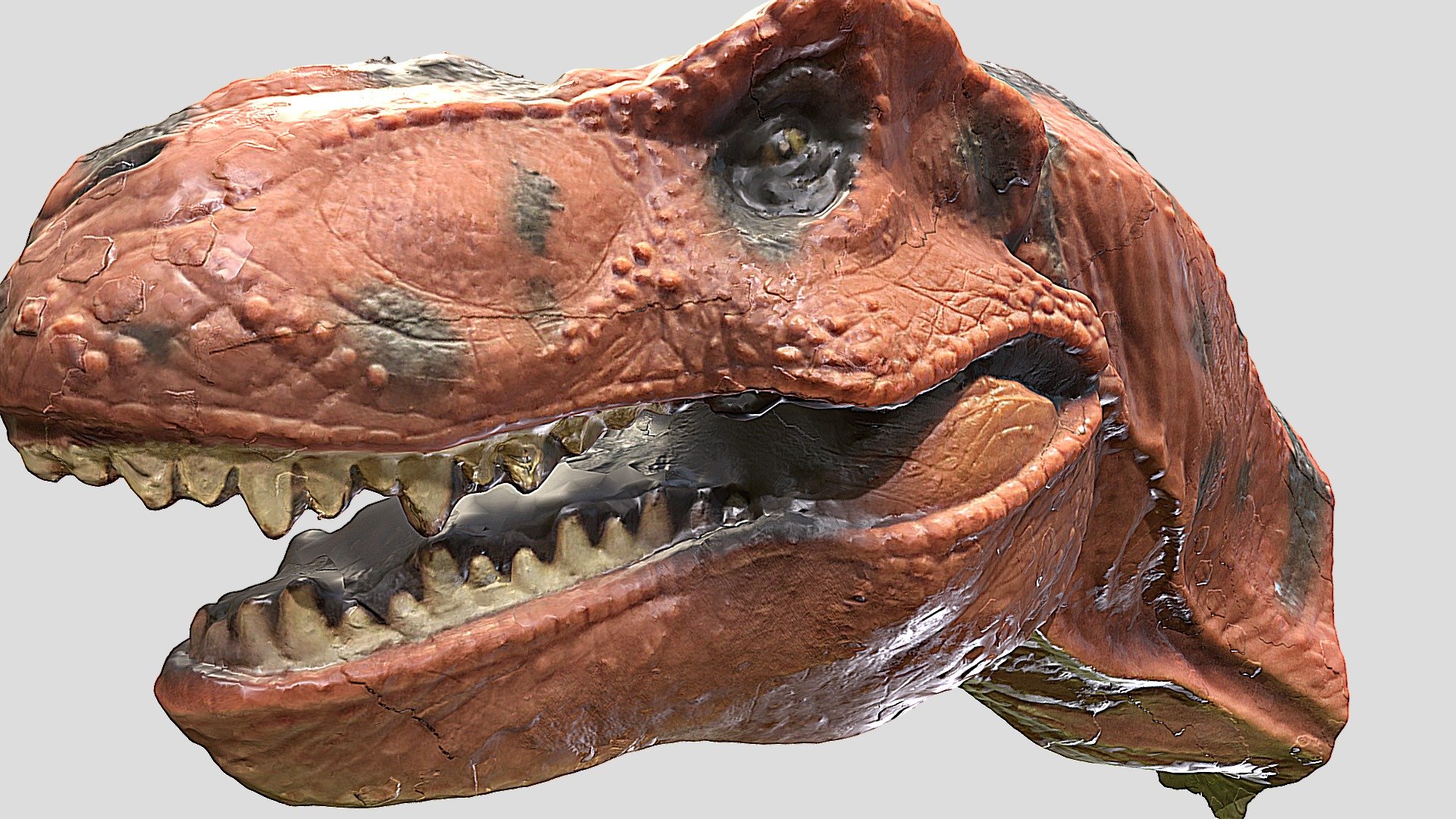 Jurassic Park T-rex head - 3D model by Djeekob [1989698] - Sketchfab