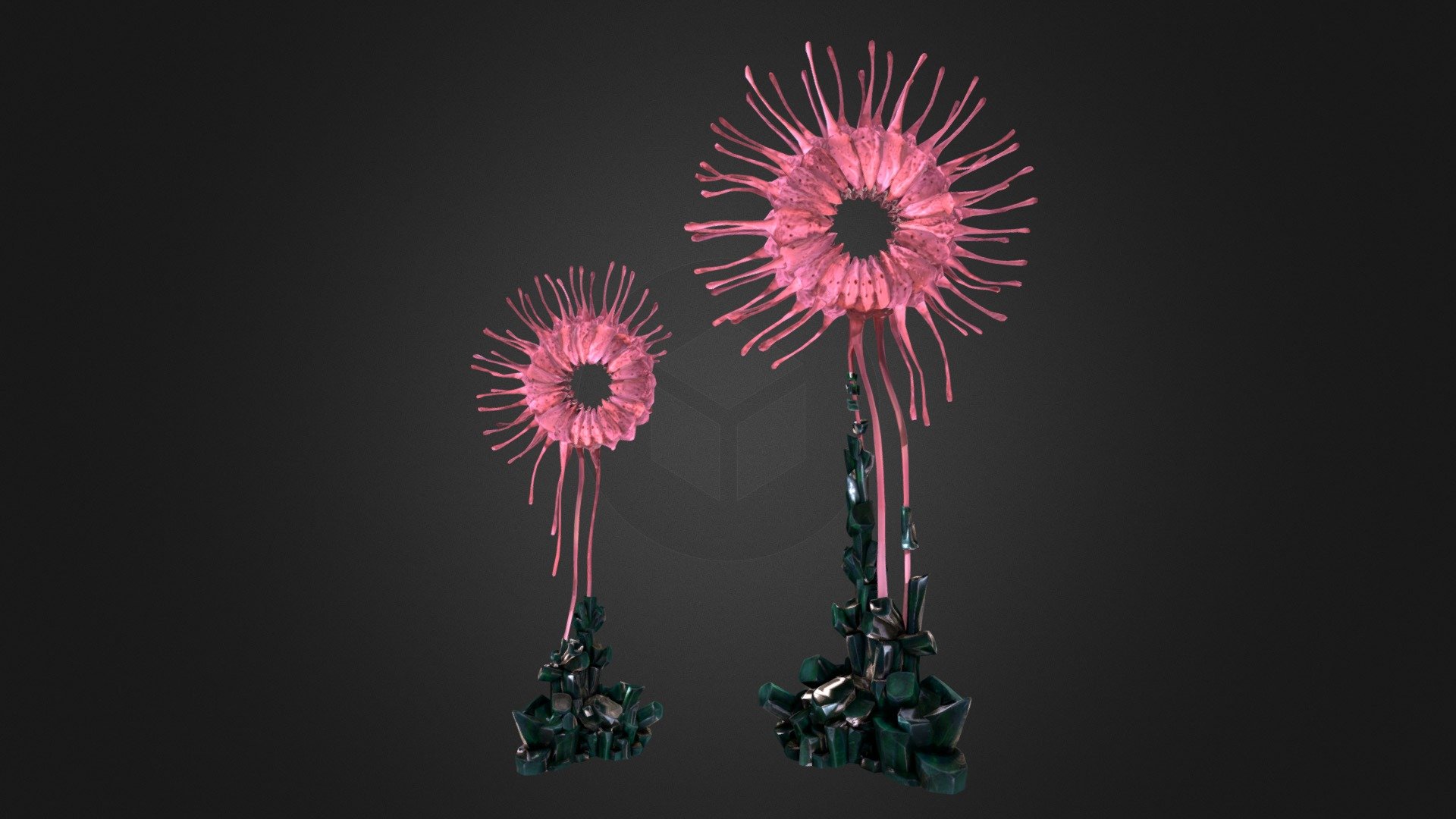 Eclipse Plant - Download Free 3D model by gavinpgamer1 [198c7dd ...