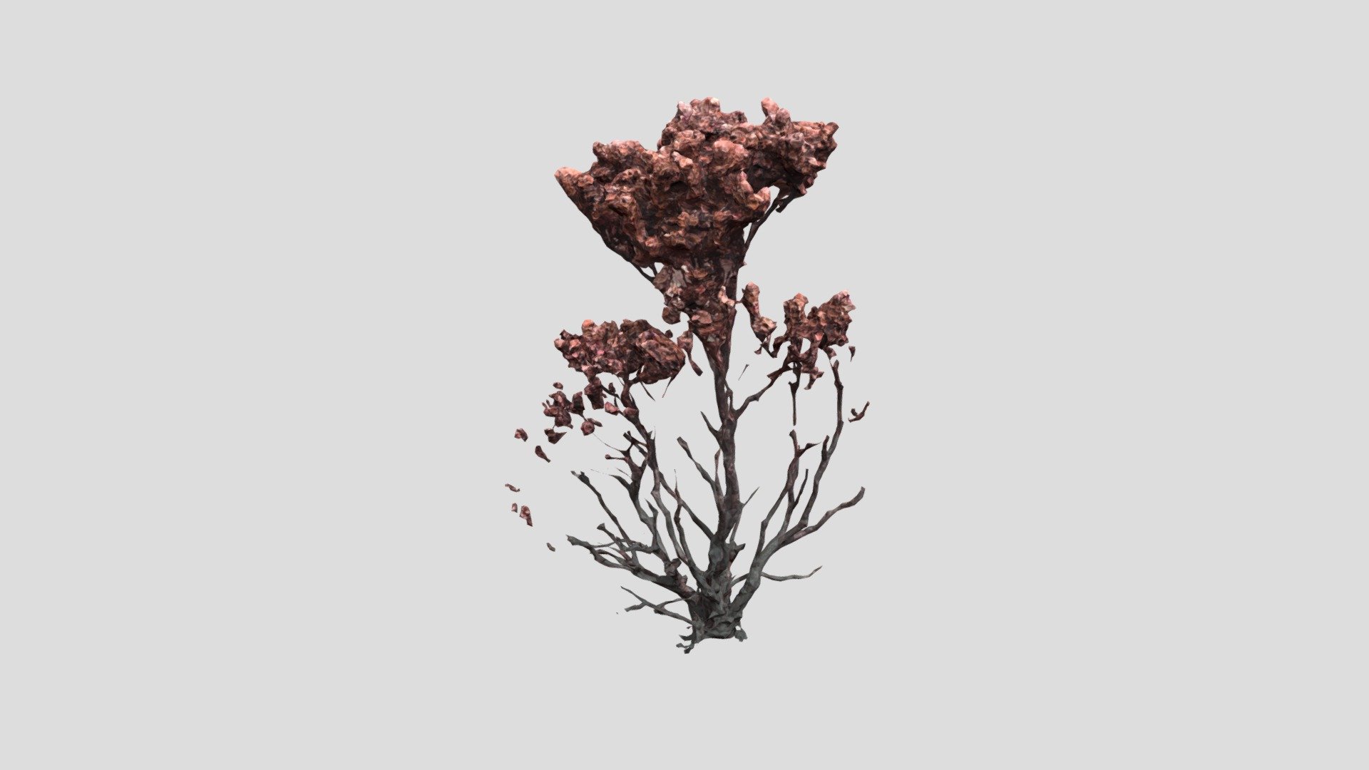 'Ohi'a Tree - Red Stage - Download Free 3D model by kokazaki2002 ...