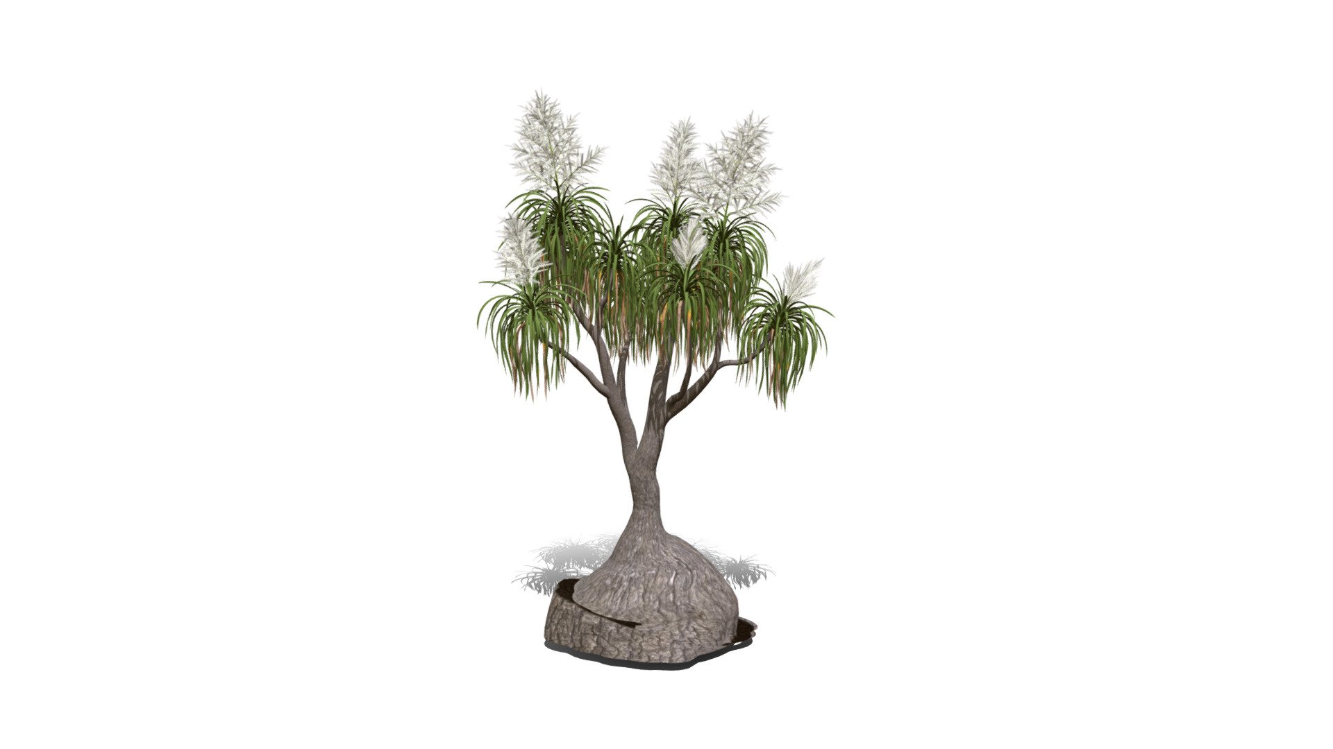 Realistic HD Elephant Foot (18/40) - Download Free 3D model by ...