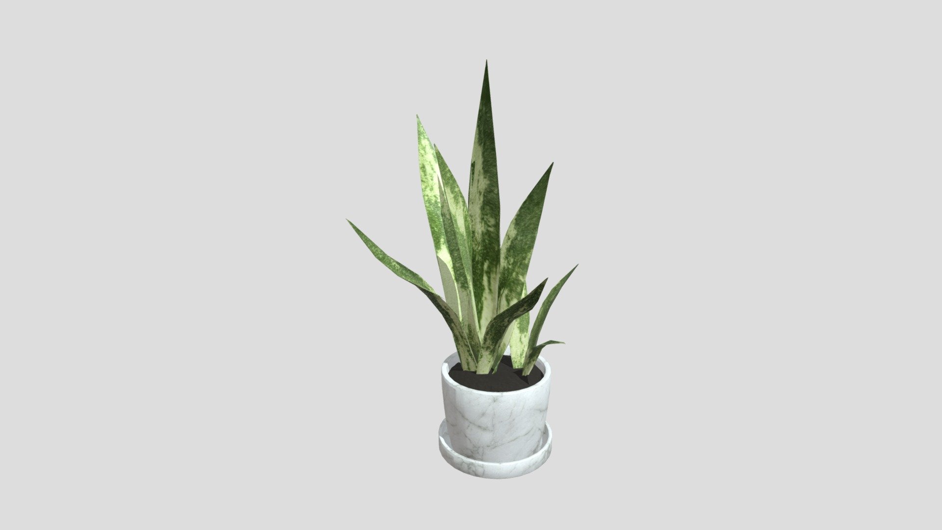SNAKE PLANT 1 LOW POLY - Download Free 3D model by THEAPPXR (@oobexr ...