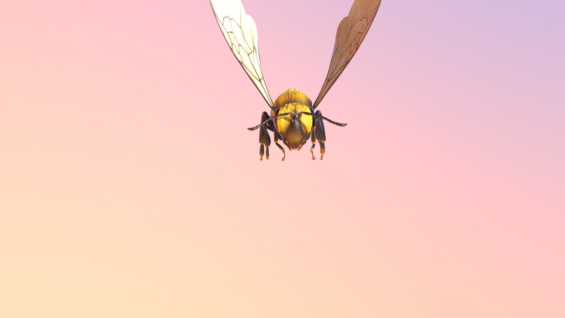 Flying bee - 3D model by butterflybliss (@ZorDob) [19af318] - Sketchfab