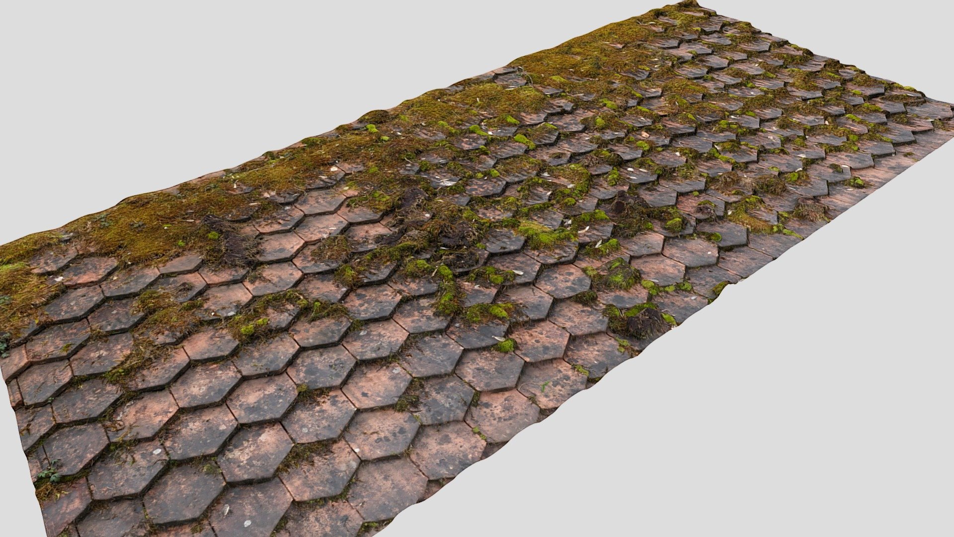 Nature Roof Scan 8k 001 - Buy Royalty Free 3D model by immerge [19b323e ...