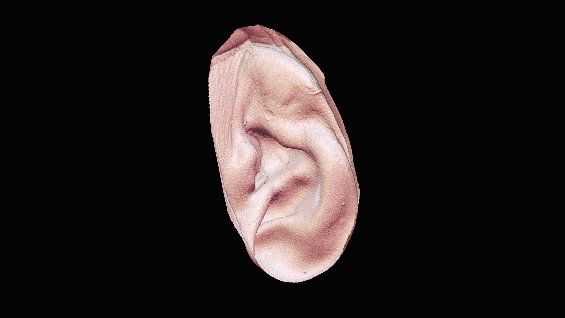 Ear Module - Download Free 3D model by thunk3d.scanner [19b9709 ...