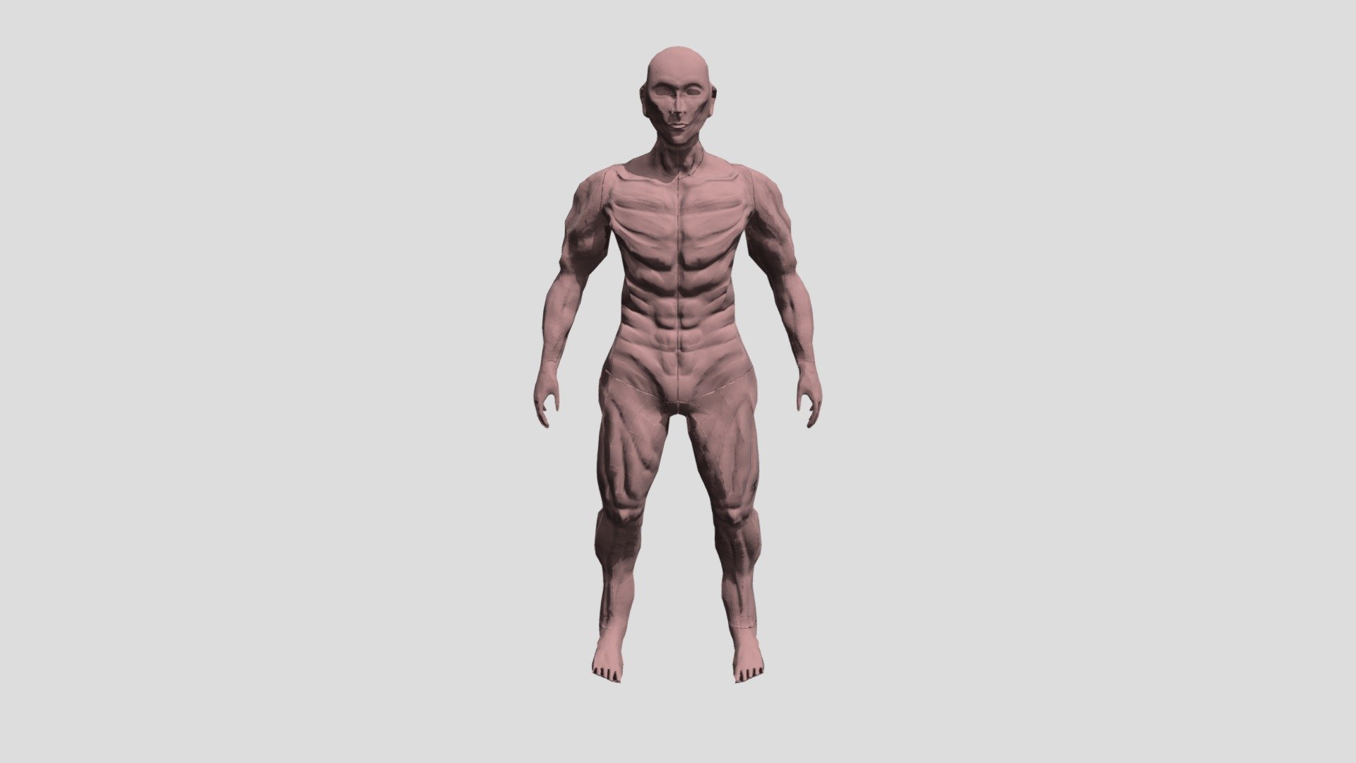Low poly human model - 3D model by luwoci [19c4bf4] - Sketchfab
