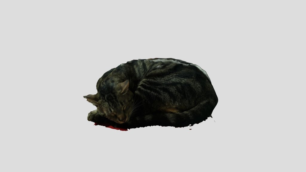 Paka - A 3D model collection by Quitschy_Guy - Sketchfab