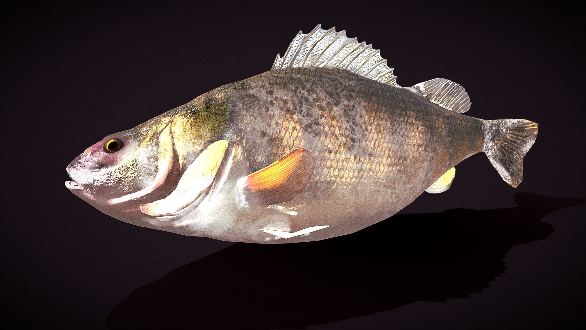 Perch - Buy Royalty Free 3D model by GetDeadEntertainment [19c84cd ...