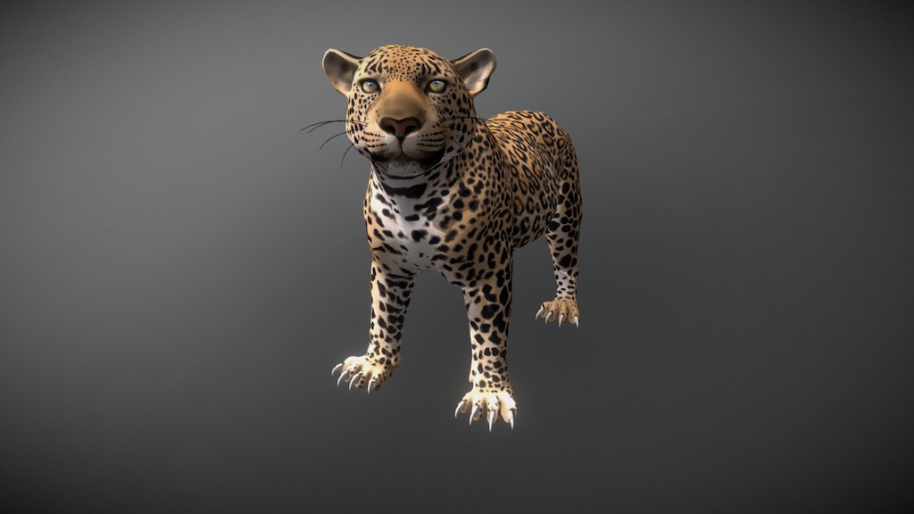Big Cats - A 3D model collection by James - Sketchfab