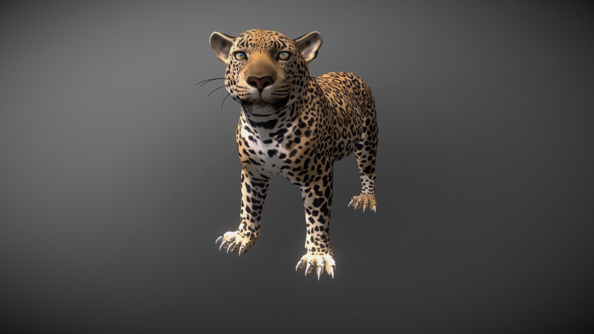 Jaguar World Wildlife México WWF - 3D model by Raiden (@dragonevercry ...