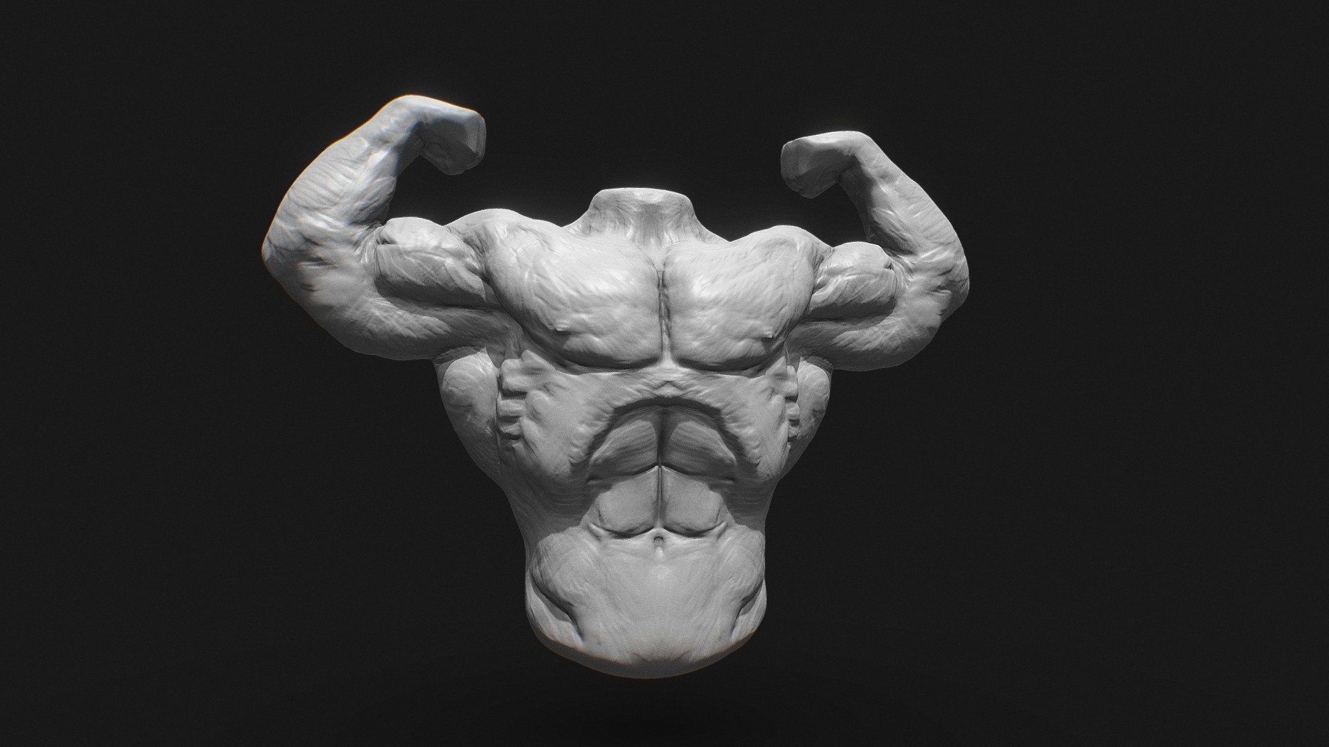 Torso basemesh HIGH POLY FREE - Download Free 3D model by Fred Drabble ...