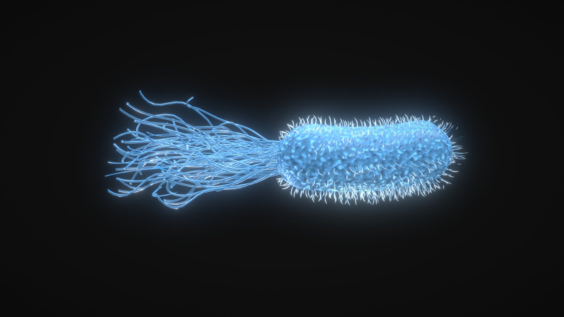 Bacteria - Buy Royalty Free 3D model by AVRcontent [19cdcdb ...
