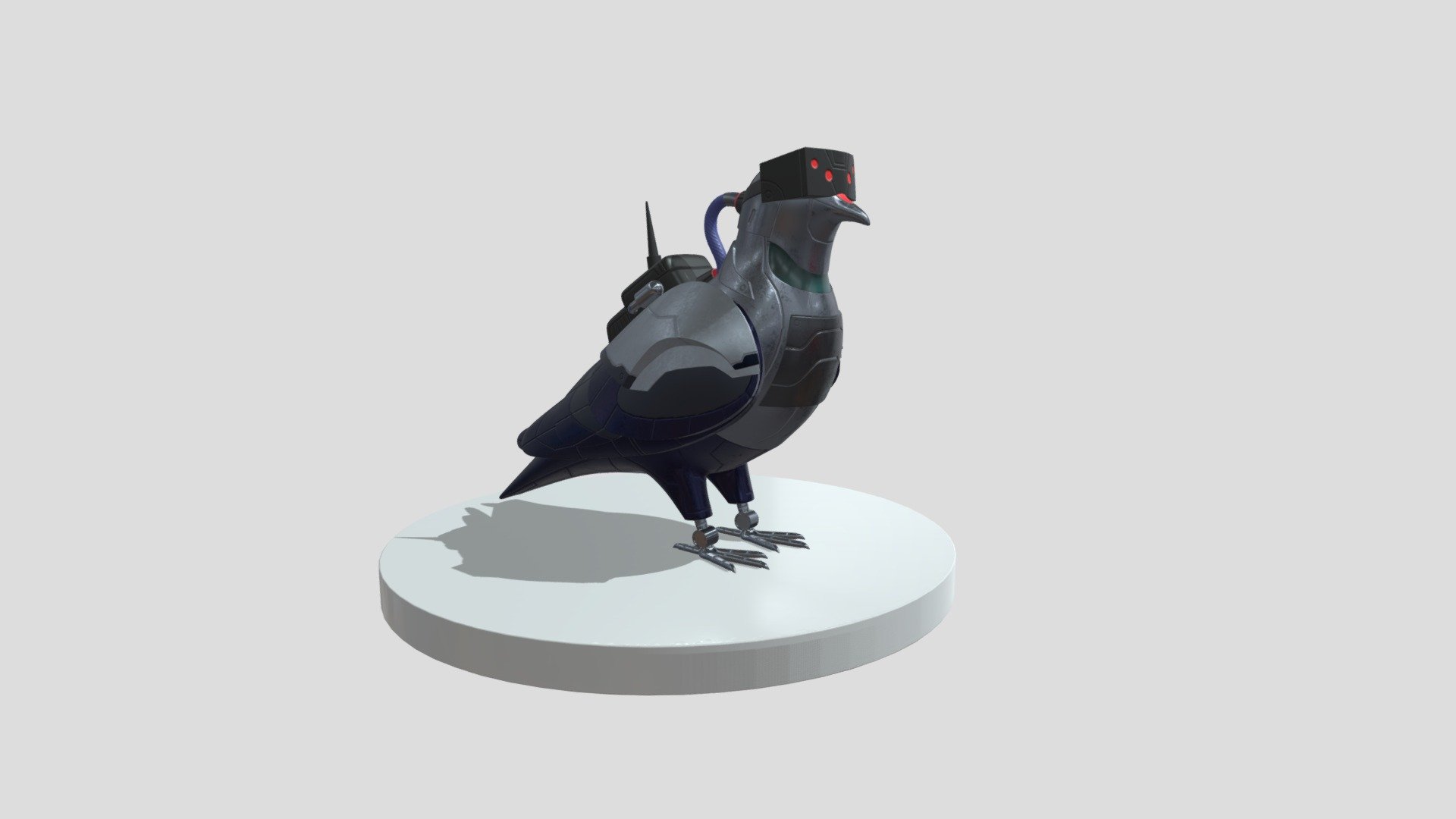 Bird Animation - 3D model by polygony (@polygonystudio) [19cfaf1 ...