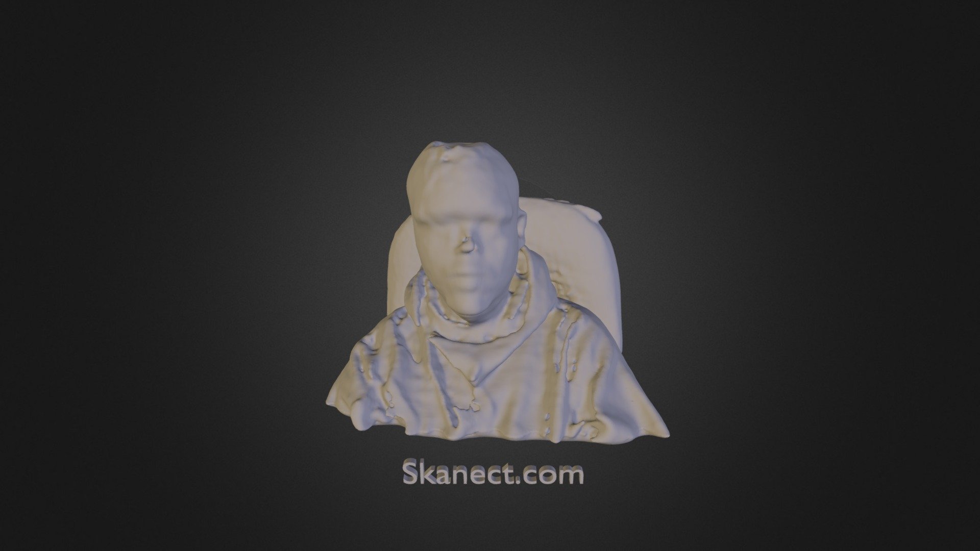 New Skanect Model - 3D model by mrnavas [19d7aad] - Sketchfab