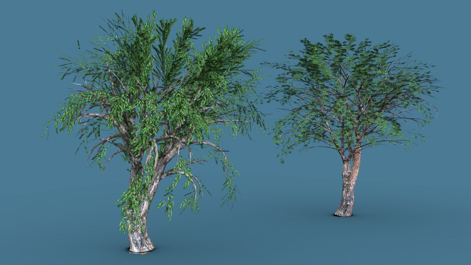 Lowpoly Scan Trees Pack 1: Live Oak w/ Graffiti - Download Free 3D ...