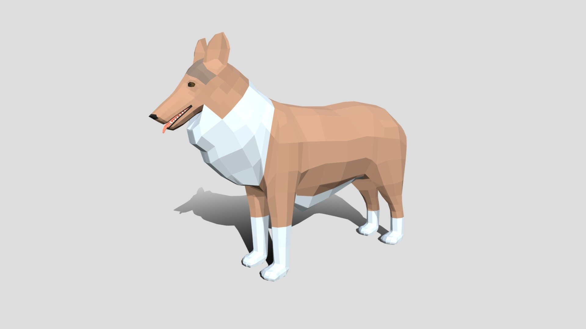 Low Poly Cartoon Rough Collie Dog - Buy Royalty Free 3D model by ...