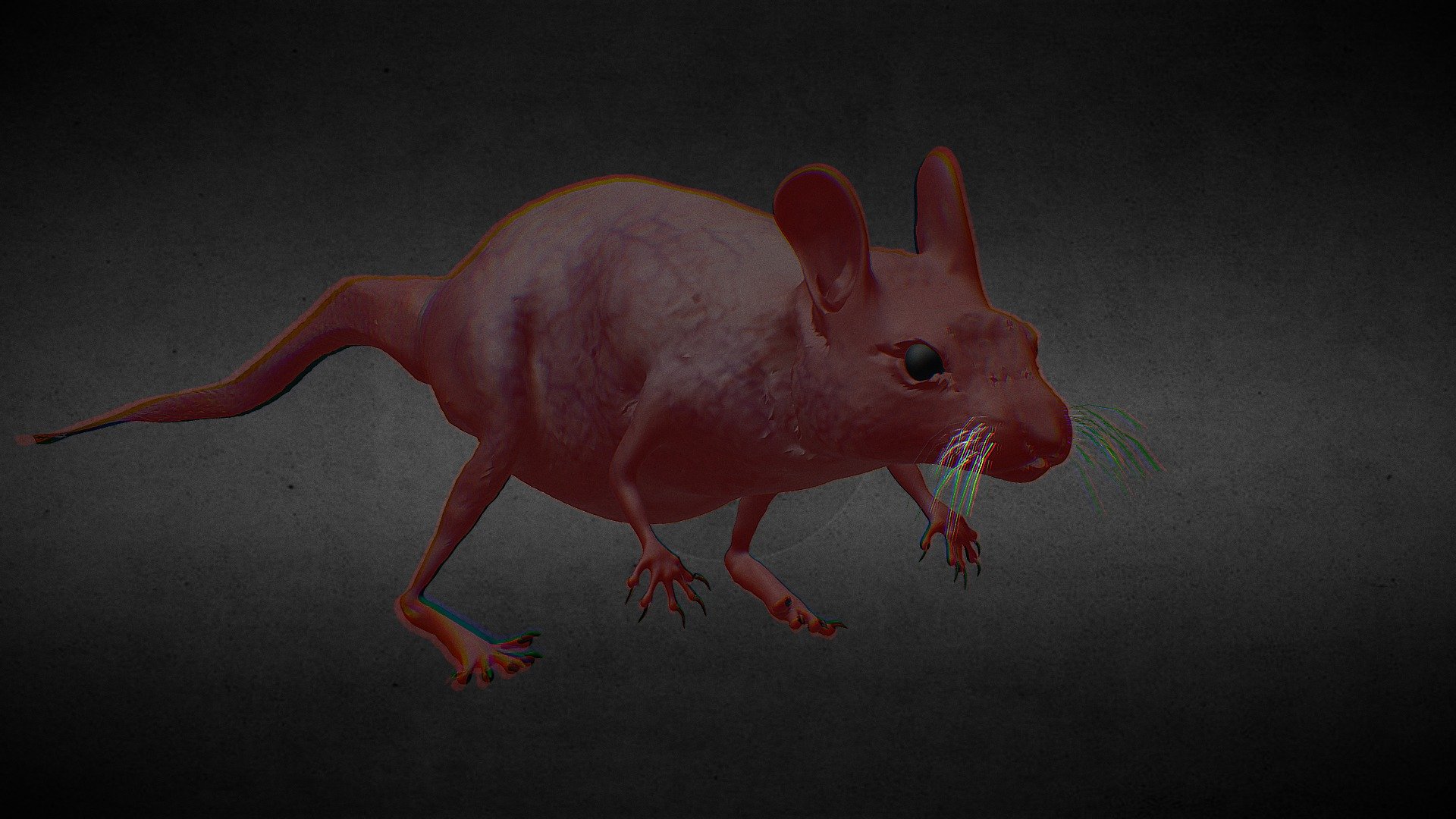 Rat 3d - Download Free 3D model by U.A.C.WAD (@hilalarican23) [19dc800 ...