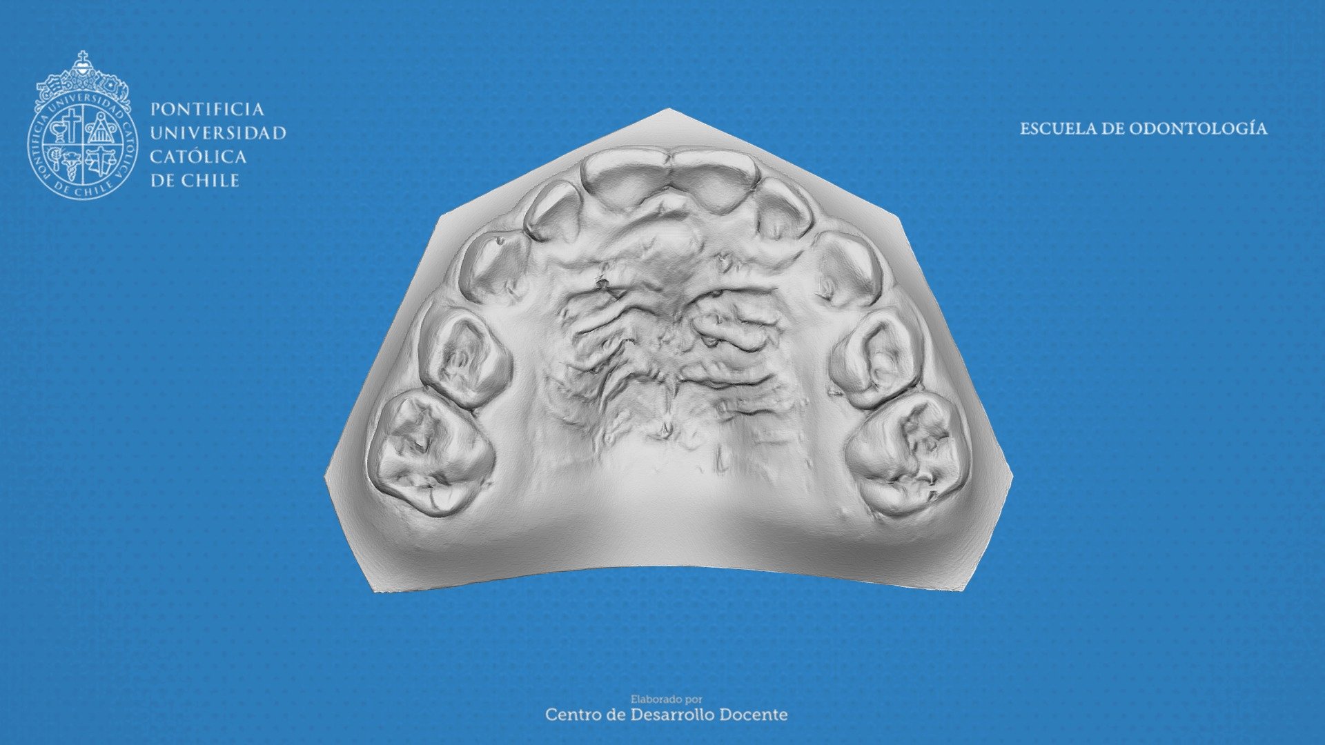 N2-S - 3D model by VirtuaLab UC (@virtualabuc) [19dd03f] - Sketchfab