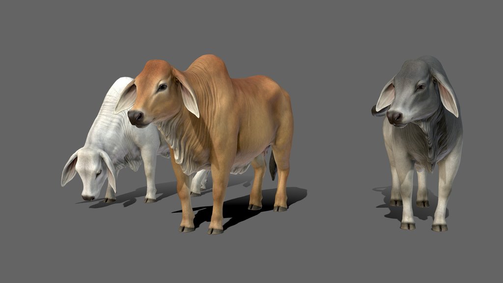 Cow - A 3D model collection by 0800emanuel - Sketchfab