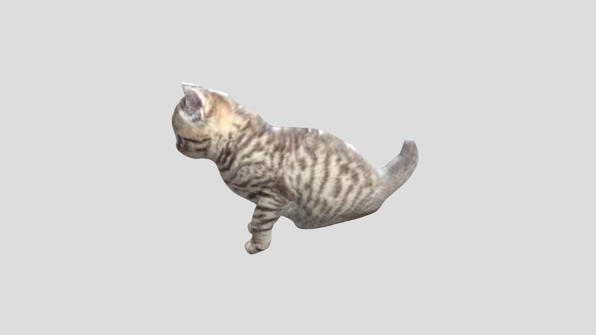 cat - Download Free 3D model by a950083 [19dfee8] - Sketchfab