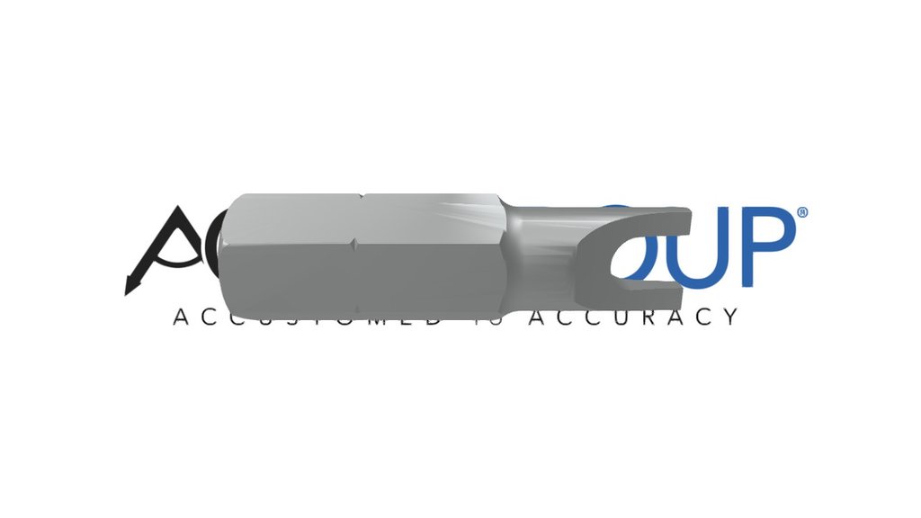 2 Hole / Snake Eye Security Drive Bits - 3D model by AccuGroup [19eec9c ...