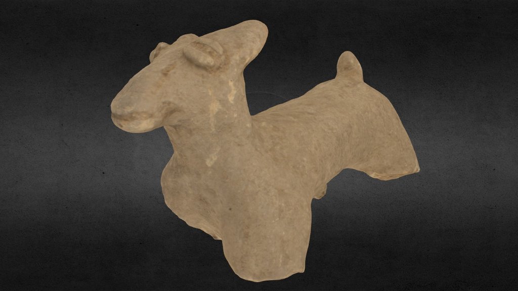 Hohokam Guanaco - 3D model by PaleoWest [19eeef0] - Sketchfab