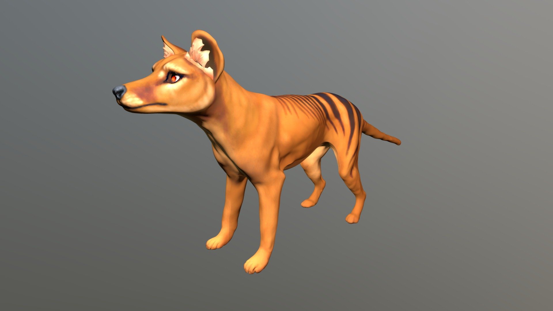 Thylacine Sculpt - Download Free 3D model by cherishloveart [19f51ad ...