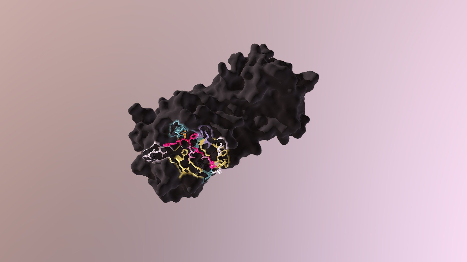 COVID-19 Protease and Inhibitor N3 - 3D model by sonesavanh [19fb7e2 ...