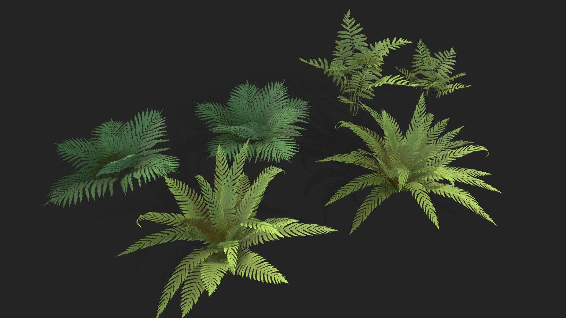 Stylized Fern Plant Pack 1 - Buy Royalty Free 3D model by lexyliu ...