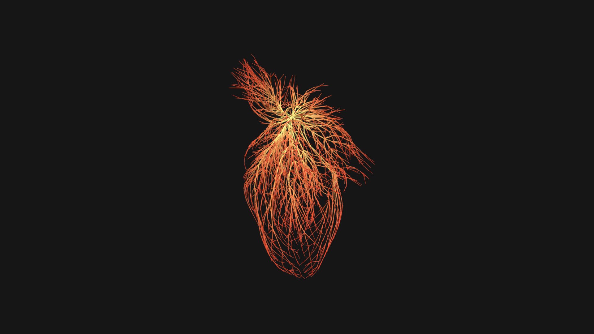 Human heart unrolling growing animation - Buy Royalty Free 3D model by ...