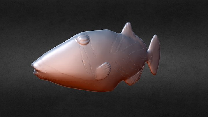 Tropical-fish 3D models - Sketchfab