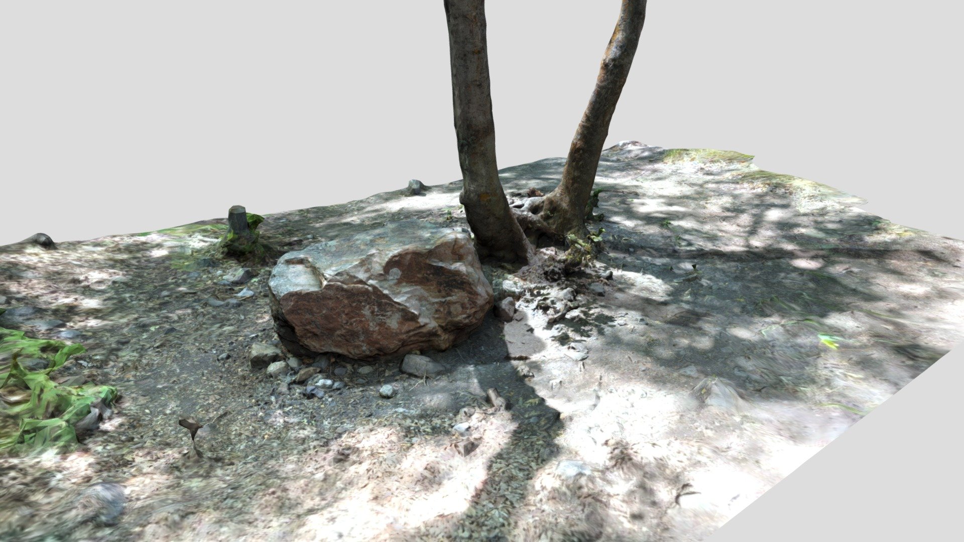 Rock And Tree Trunk - Download Free 3D model by undertow443 [1a17ae9 ...