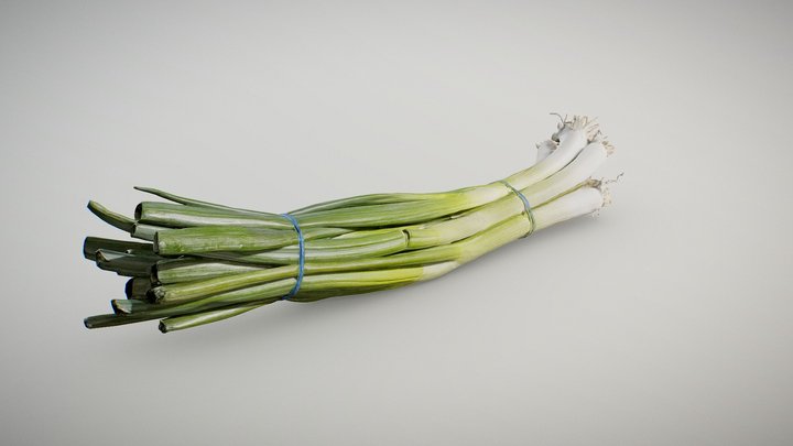 Scallion 3D models - Sketchfab