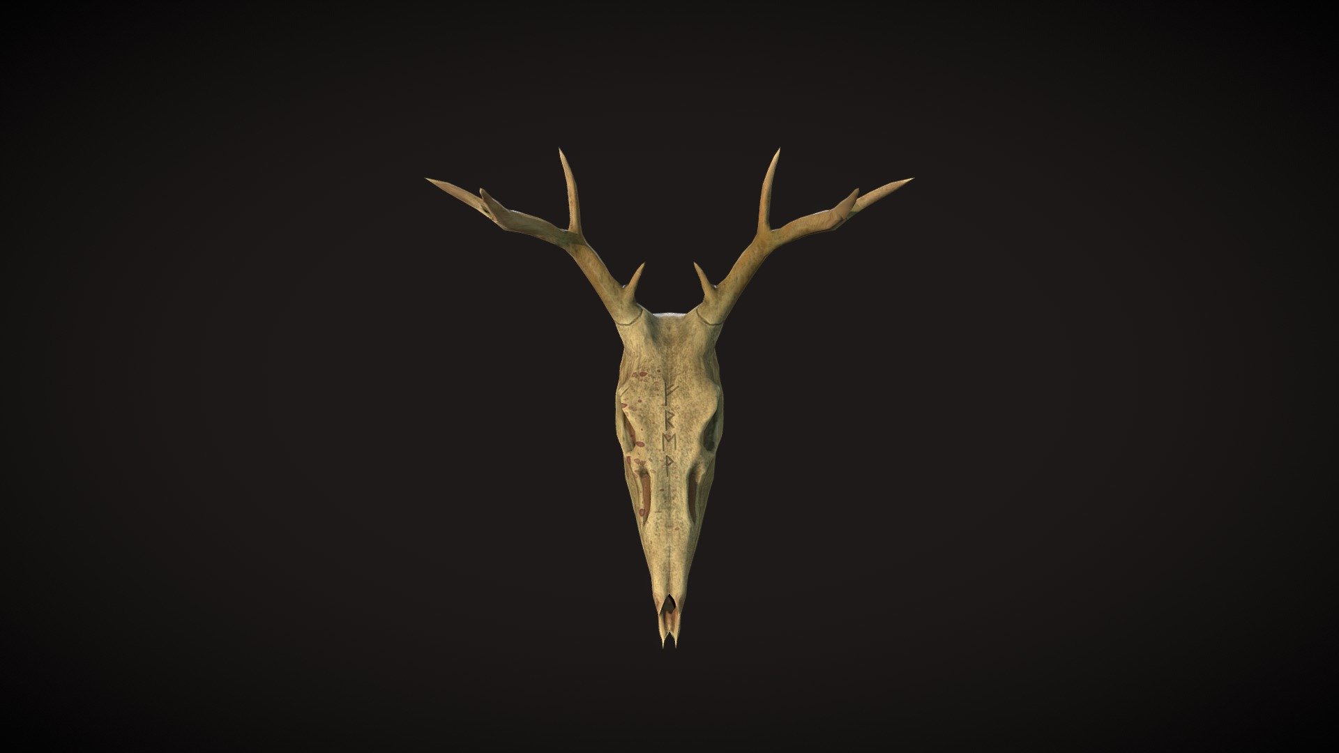 Celtic Dear Skull - 3D model by michelemarro [1a1d8b4] - Sketchfab
