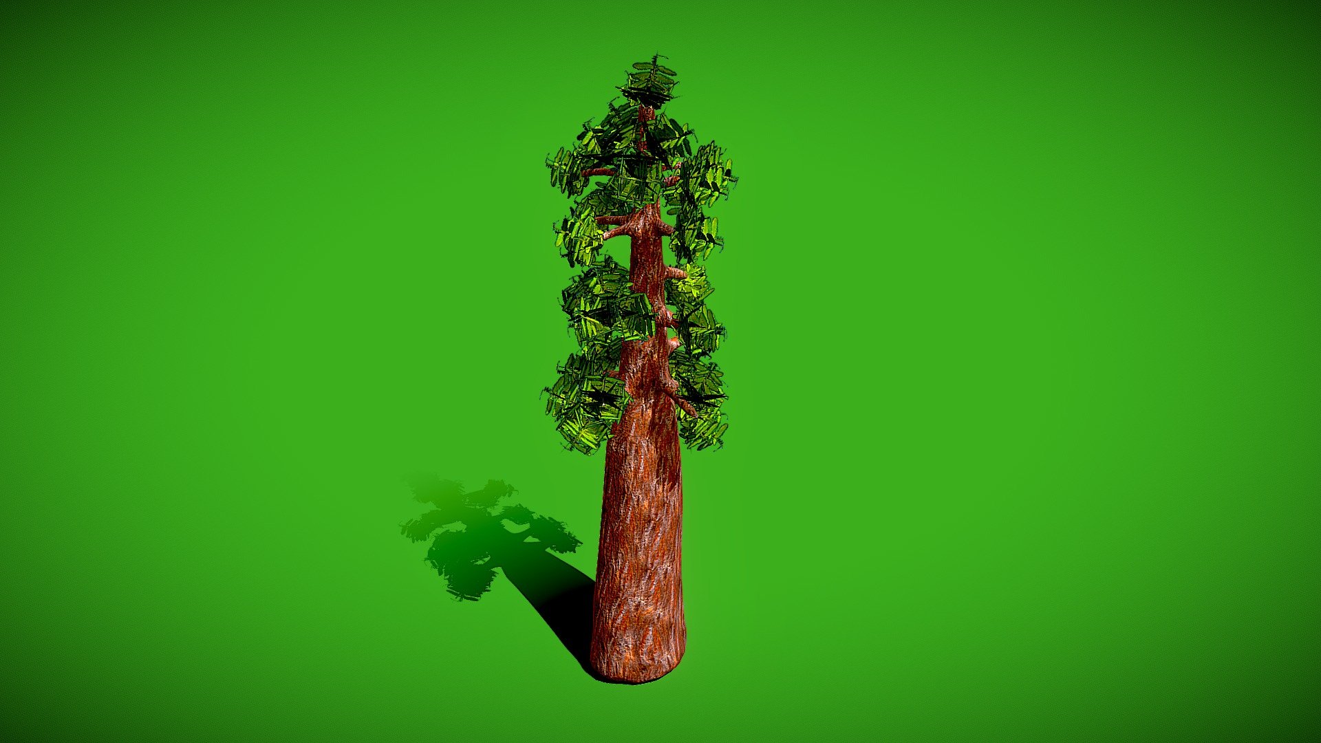 Giant Redwood - Download Free 3D model by rhcreations [1a2052c] - Sketchfab
