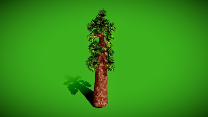 Redwood-tree 3D models - Sketchfab